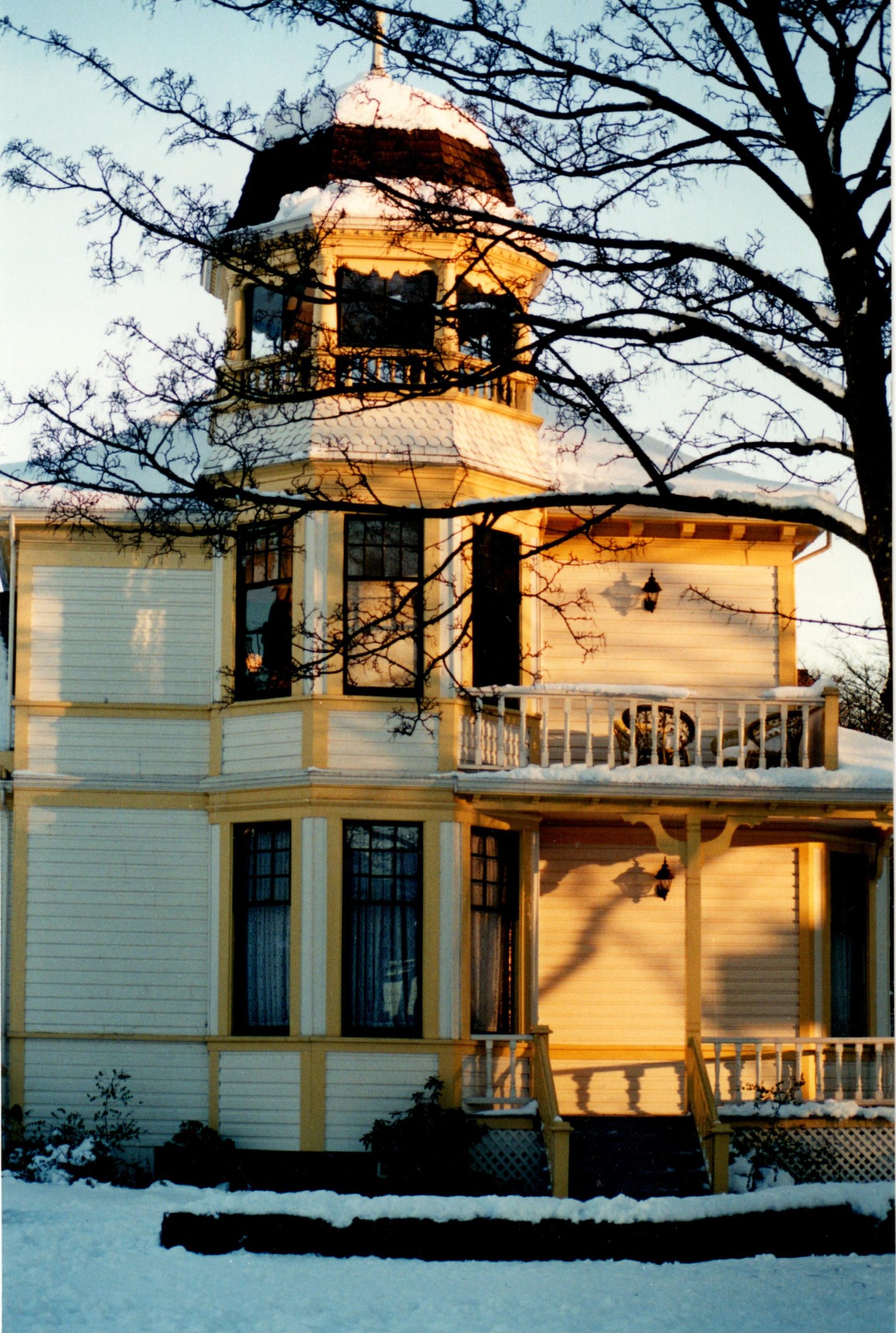 Surviving Heritage - ROEDDE HOUSE MUSEUM