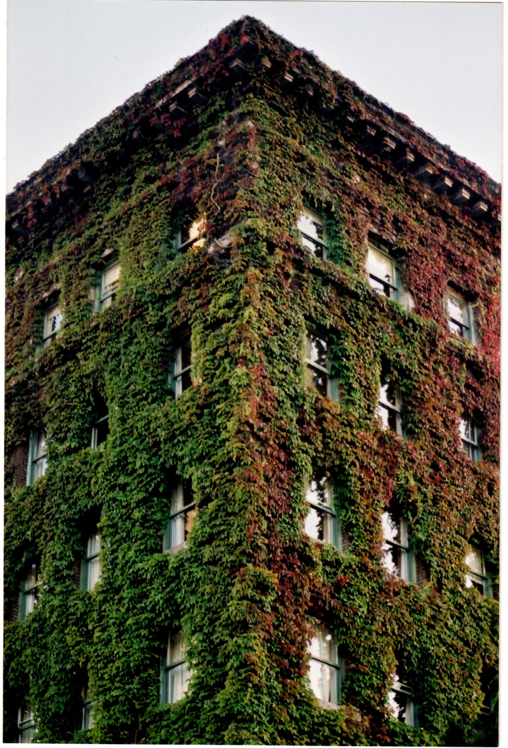 Surviving Heritage - ROEDDE HOUSE MUSEUM